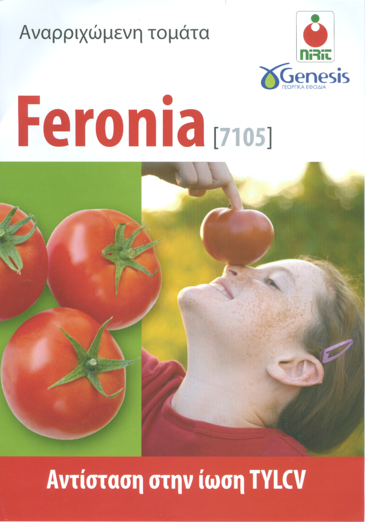 Τομάτα Feronia - Genesis